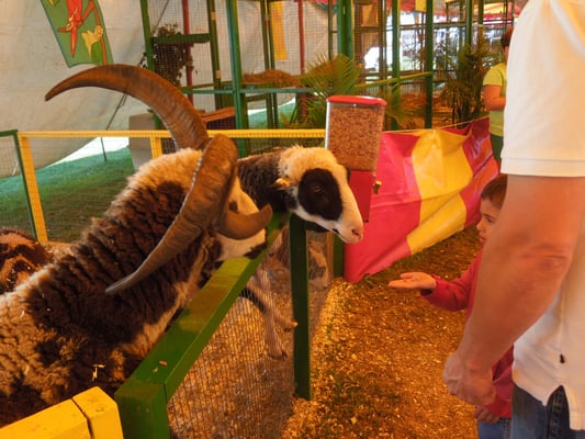 GUILFORD FAIR - Updated July 2025 - 114 Photos - 111 Lovers Ln ...