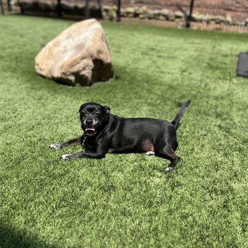 SKIPTOWN - Updated December 2025 - 201 Photos & 115 Reviews - 222 ...