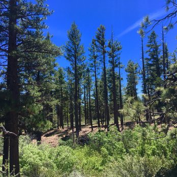GALENA CREEK REGIONAL PARK - Updated July 2025 - 293 Photos & 40 ...