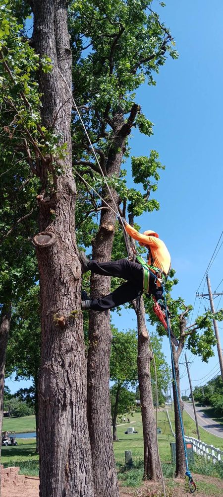 RGC TREE LAWN AND LANDSCAPING - Updated July 2025 - Request a Quote ...