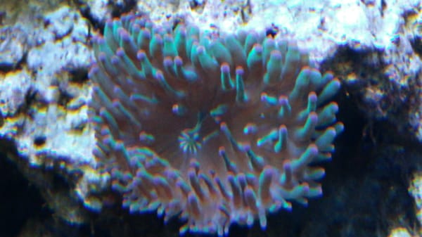 FISH & SHIPS AQUARIUM MAINTENANCE - Updated July 2025 - 13455 TX-110 S ...