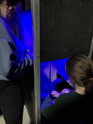 LABYRINTH REALITY GAMES - Updated February 2025 - 37 Photos & 42 ...