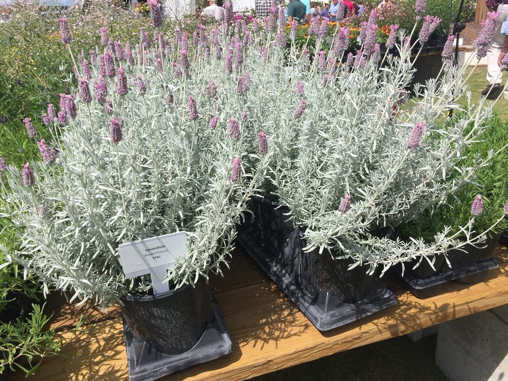 COSTA COLOR - Updated December 2025 - 11 Photos - 19995 SW 194th Ave ...