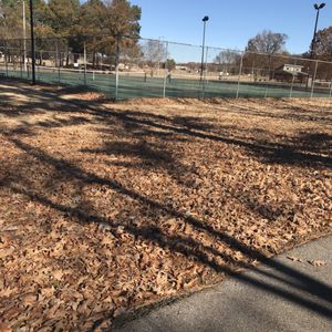 PEABODY PARK - Updated April 2025 - 10 Photos - 712 Tanglewood, Memphis ...