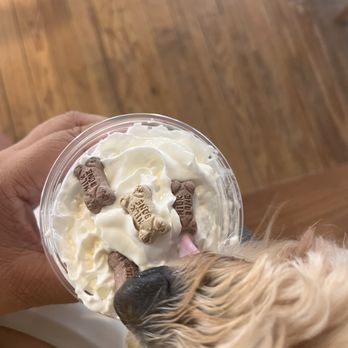 OSO COFFEE CO. - Updated October 2024 - 159 Photos & 74 Reviews - 2603 ...