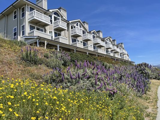 PILLAR POINT RV PARK - 116 Photos & 90 Reviews - 4000 Cabrillo Hwy N ...