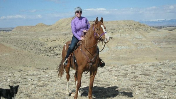 FATTY HORSE BOARDING - Updated January 2026 - Request Information - 1302 Lane 14, Powell ...