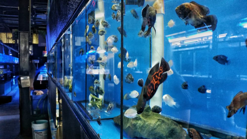 ANIMAL PANTRY - Updated December 2025 - 18 Photos & 28 Reviews - 620 ...