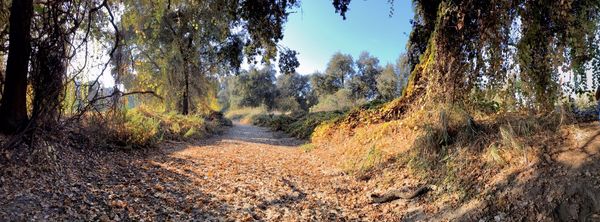 KAWEAH OAKS PRESERVE - 45 Photos & 15 Reviews - 29979 Road 182, Exeter ...