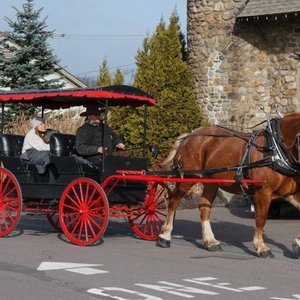 BUSHKILL RIDING STABLES - Updated July 2024 - 23 Reviews - 124 Golf Dr ...