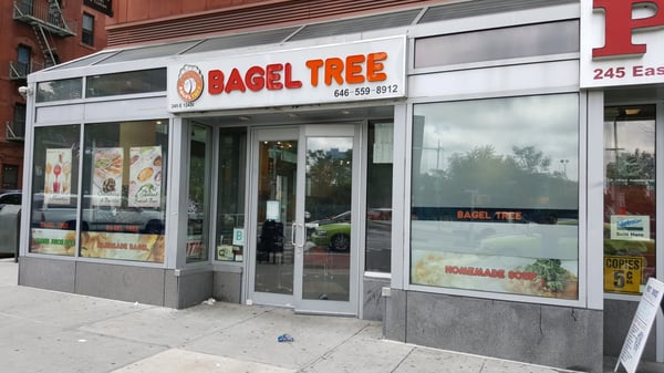 BAGEL TREE - Updated October 2025 - 22 Photos & 58 Reviews - 245 E ...