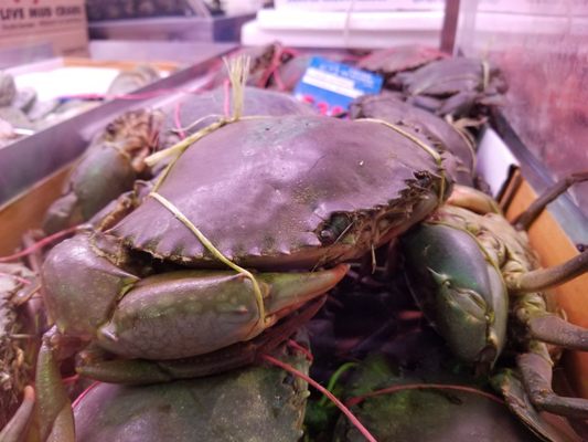 SPRINGVALE CENTRAL - Updated November 2024 - 32 Photos - 260 Springvale ...