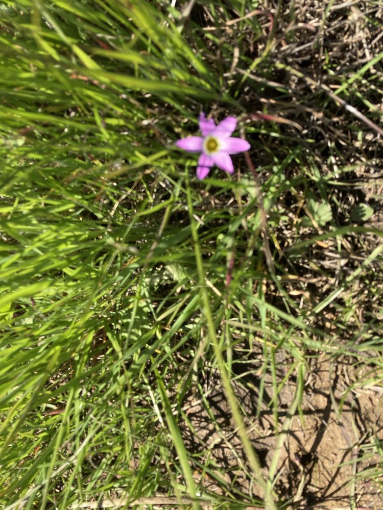 BAY RIDGE TRAIL - Updated July 2025 - 48 Photos & 11 Reviews - Vallejo ...