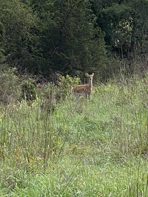 RIDGE CONSERVATION AREA - Updated August 2024 - 484 Randall Rd, Ridge ...