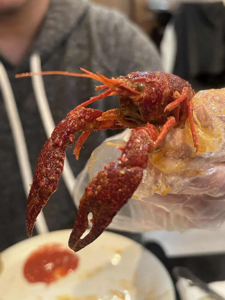 ASIA BUFFET - Updated August 2025 - 375 Photos & 460 Reviews - 23552 El ...