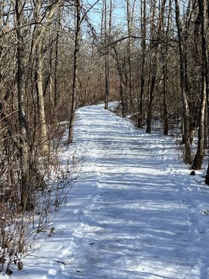 LIONS DEN GORGE NATURE PRESERVE - Updated November 2024 - 138 Photos ...