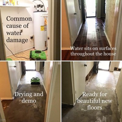 SERVPRO OF EAST DALLAS - Updated August 2025 - 24 Photos - 8242 Moberly ...