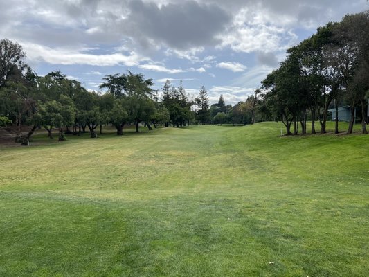 SUNKEN GARDENS GOLF COURSE - 71 Photos & 165 Reviews - 1010 S Wolfe Rd ...