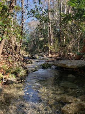 RIVER PLACE NATURE TRAIL - 460 Photos & 218 Reviews - Hiking - 8830 Big ...