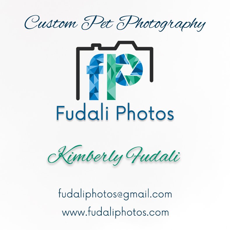 FUDALI PHOTOS - Request Information - Waukesha, Wisconsin - Pet ...