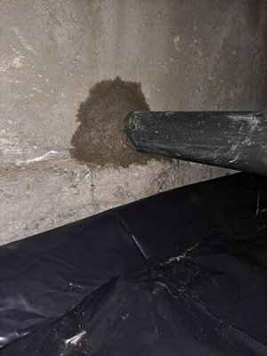 NORTHWEST CRAWL SPACE SERVICES - Updated November 2025 - 27 Photos & 14 ...