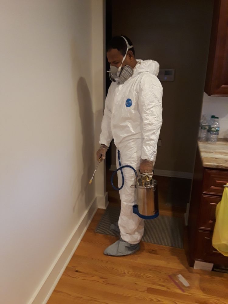 RK PEST CONTROL - Updated July 2025 - 20 Photos & 13 Reviews ...