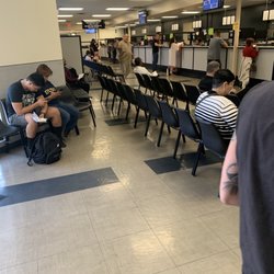 DEPARTMENT OF MOTOR VEHICLES - 100 Photos & 488 Reviews - 3700 E Willow ...