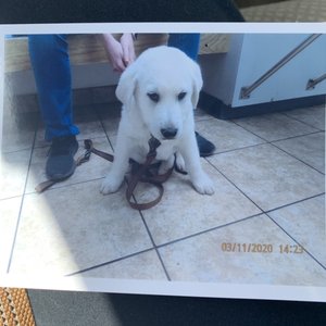 HIGH RIDGE ANIMAL HOSPITAL - Updated June 2025 - 13 Reviews - 2612 ...