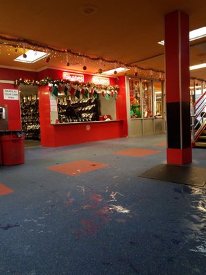 ICE PALACE - 194 Photos & 201 Reviews - Skating Rinks - 4510 Salt Lake ...