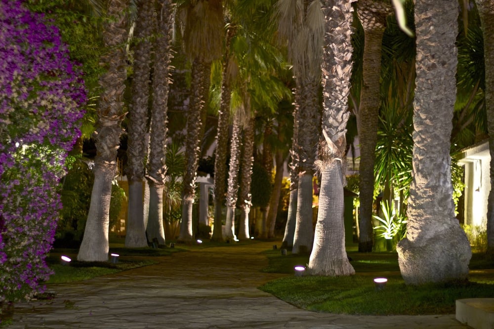 EL OASIS - 68 Photos - Carrer Oasis, 1, L'eliana, Valencia, Spain ...