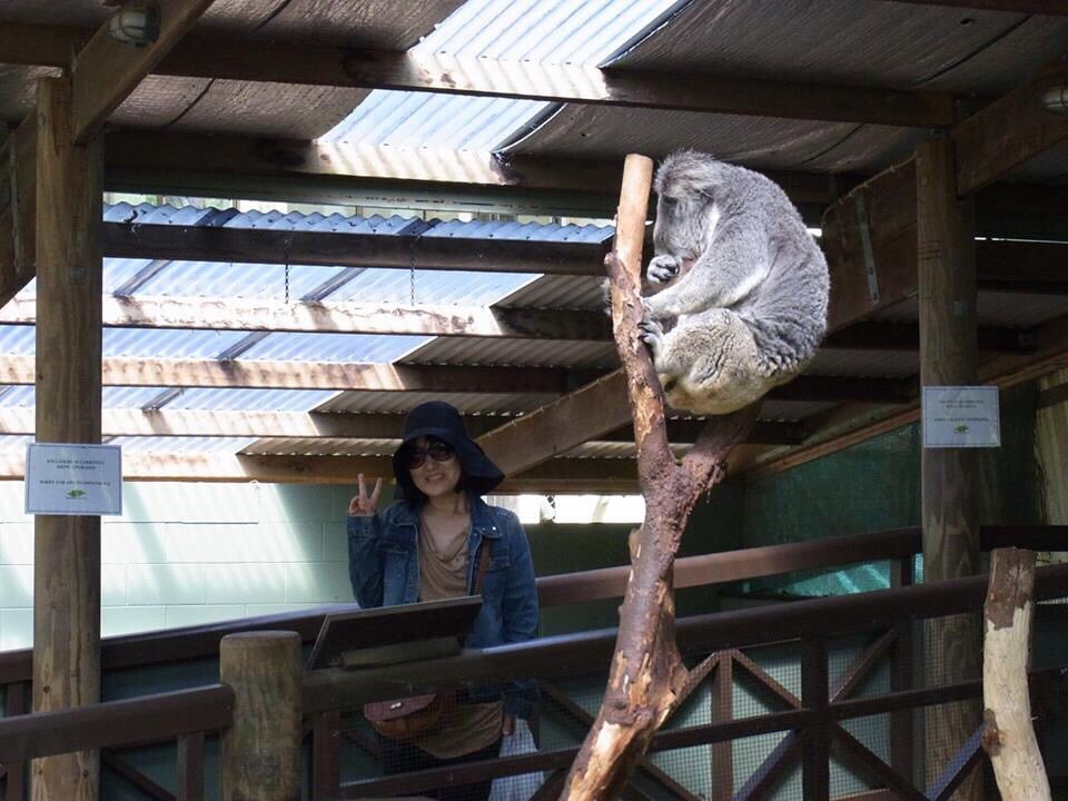 RAINFORESTATION KURANDA - 21 Photos - Kennedy Highway, Kowrowa ...