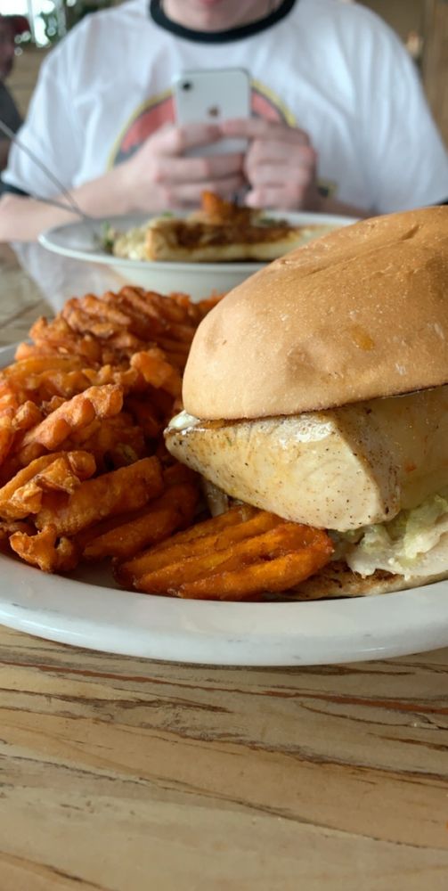 LAZY GATOR - Updated May 2024 - 141 Photos & 184 Reviews - 6103 ...