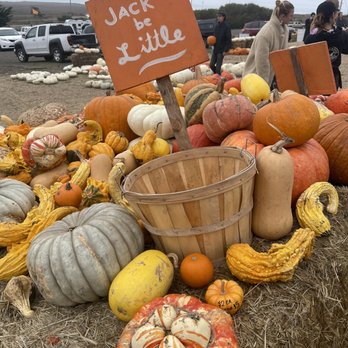 RODONI FARMS - Updated January 2026 - 151 Photos & 34 Reviews - 4444 ...