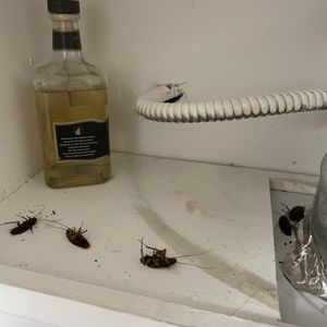 SCOTT MANAGEMENT COMPANY - Updated December 2025 - 10 Photos & 10 ...