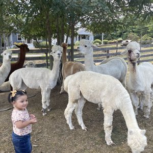 SILVERTON FARM, Toms River, New Jersey - 1520 Silverton Rd - Updated ...