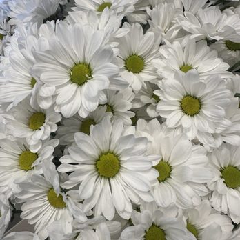 CYMNOW FLOWERS - Updated February 2025 - 156 Photos & 37 Reviews - 6757 ...