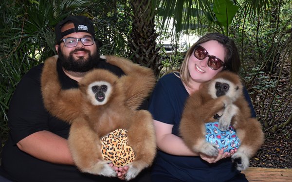 MYRTLE BEACH SAFARI - Updated August 2024 - 86 Photos & 22 Reviews ...