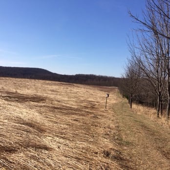 BINKY LEE PRESERVE - NATURAL LANDS - Updated July 2025 - 40 Photos ...