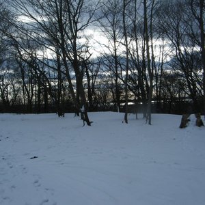 PERROTTI PARK - Updated October 2025 - 21 Photos - American's Cup Ave ...