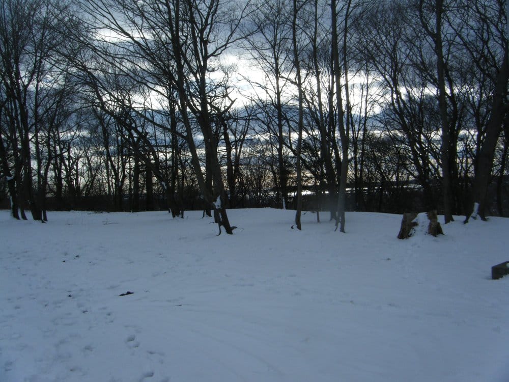 MIANTONOMI MEMORIAL PARK - Updated February 2025 - 39 Photos - Hillside ...