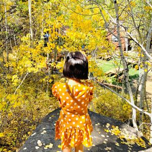 CARSON RIVER RESORT - Resort - 12399 Hwy 89, Markleeville, California ...