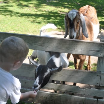 FORT RICKEY DISCOVERY ZOO - Updated October 2025 - 35 Photos & 10 ...