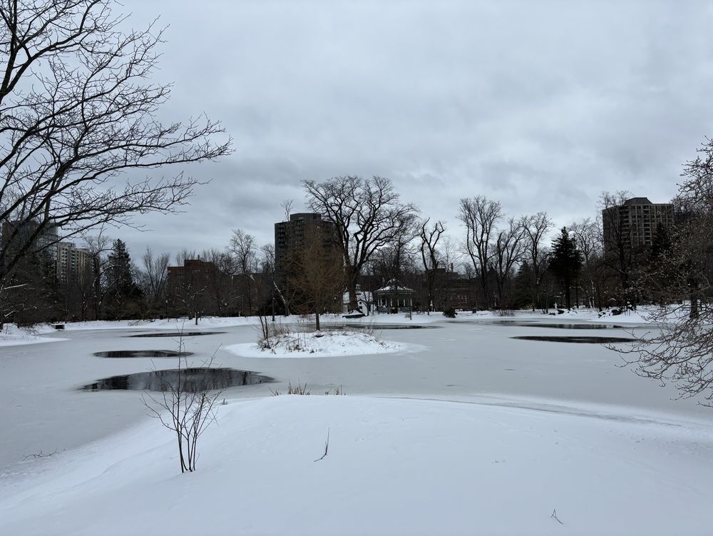 PUBLIC GARDENS PARK - Updated July 2024 - 405 Photos & 89 Reviews ...