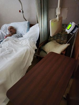 THE PEARL OF ELK GROVE - Updated December 2025 - 1920 E Nerge Rd, Elk ...