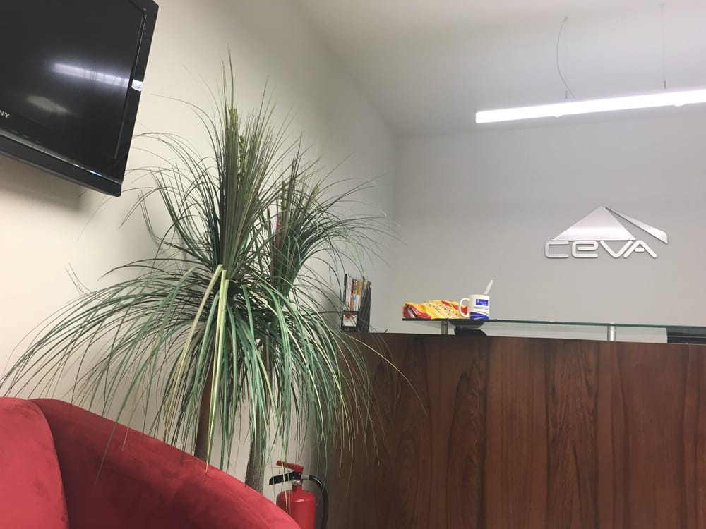 CEVA LOGISTICS - Updated November 2024 - Blvd. Manuel Ávila Camacho 126 ...