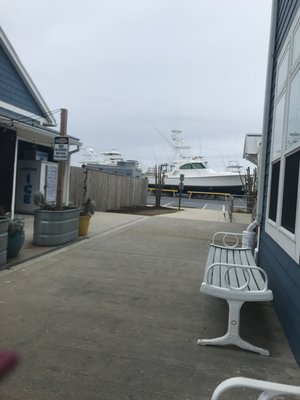INDIAN RIVER MARINA - Updated May 2026 - 15 Photos - 39415 Inlet Rd ...