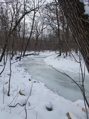 NERSTRAND BIG WOODS STATE PARK - 64 Photos & 14 Reviews - 9700 170th St ...