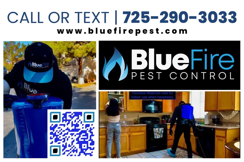 BLUE FIRE PEST CONTROL - Updated October 2025 - 27 Photos & 36 Reviews ...
