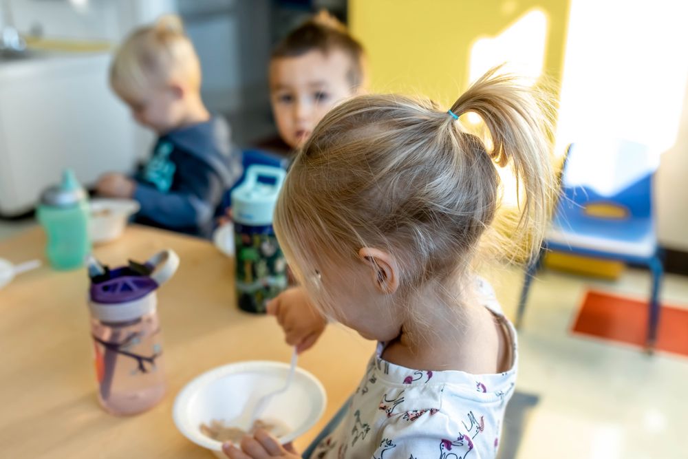 SMALL STRIDES - SOUTH MEADOWS - Updated September 2025 - 41 Photos & 12 ...