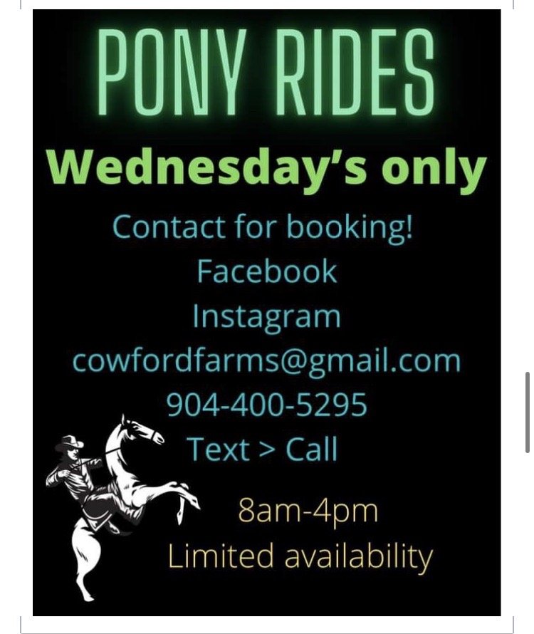 COWFORD FARM - Updated December 2024 - 5694 Morse Ave, Jacksonville ...